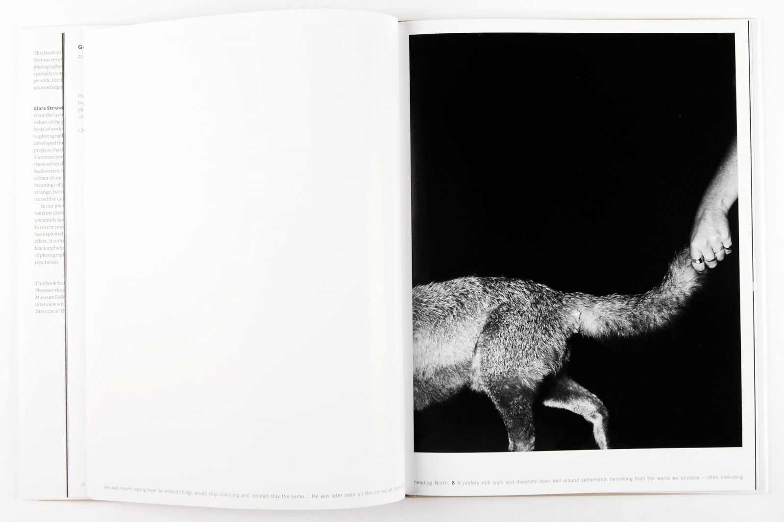 Clare Strand – A Photoworks Monograph | Photoworks