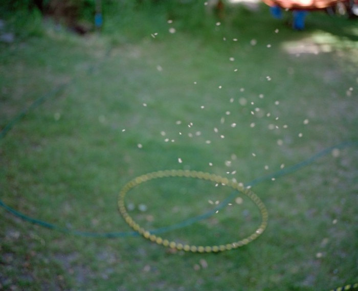 Showcase: Peter Gates | Photoworks