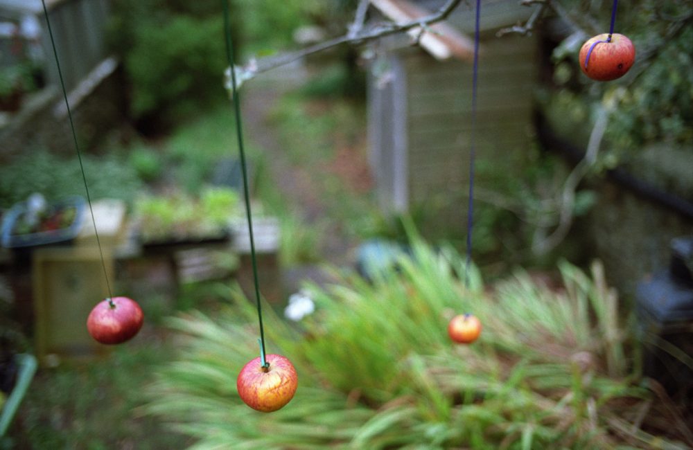 Showcase: Peter Gates | Photoworks