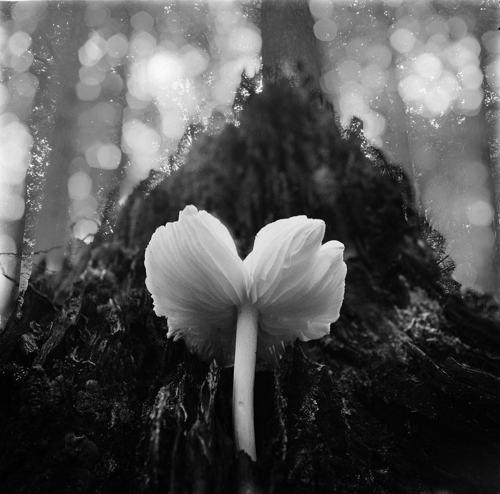 In Conversation with David Batchelder | Photoworks