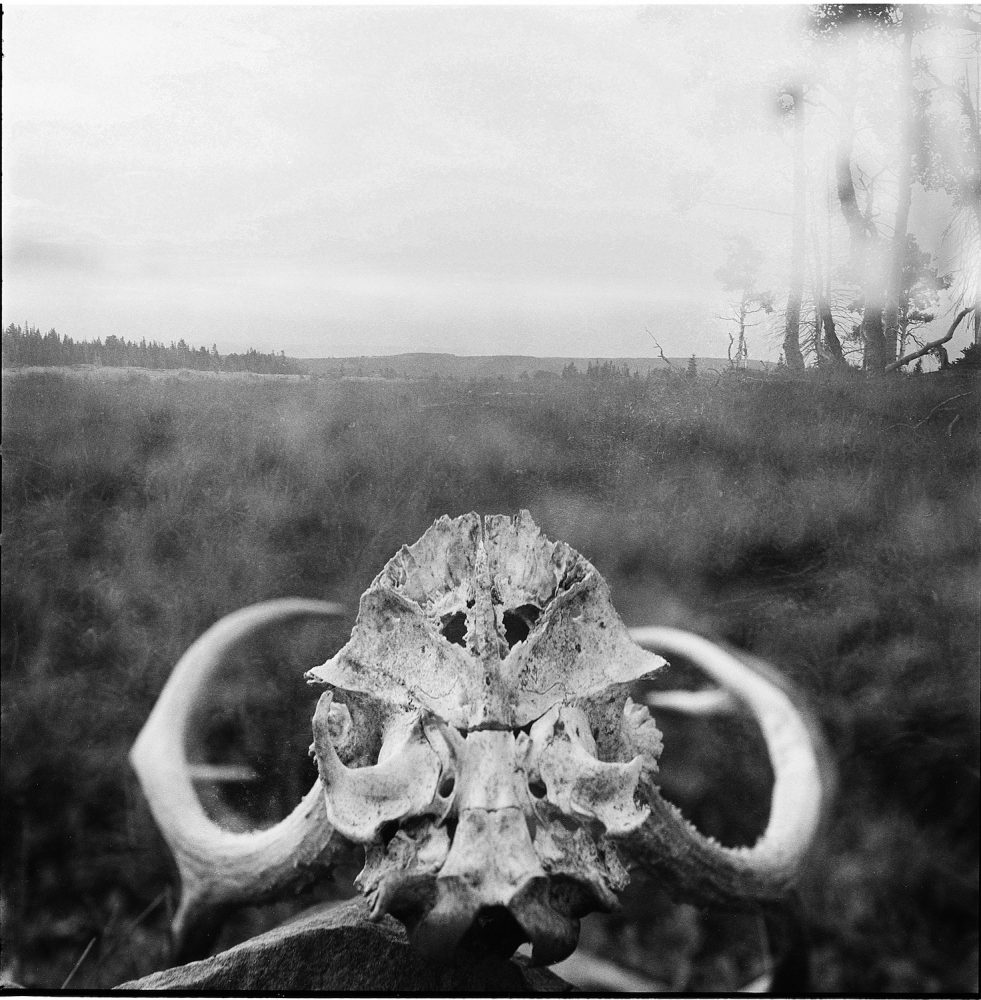 In Conversation with David Batchelder | Photoworks