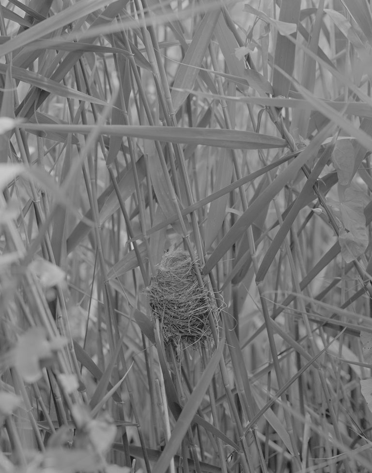 Showcase: Sam Laughlin | Photoworks