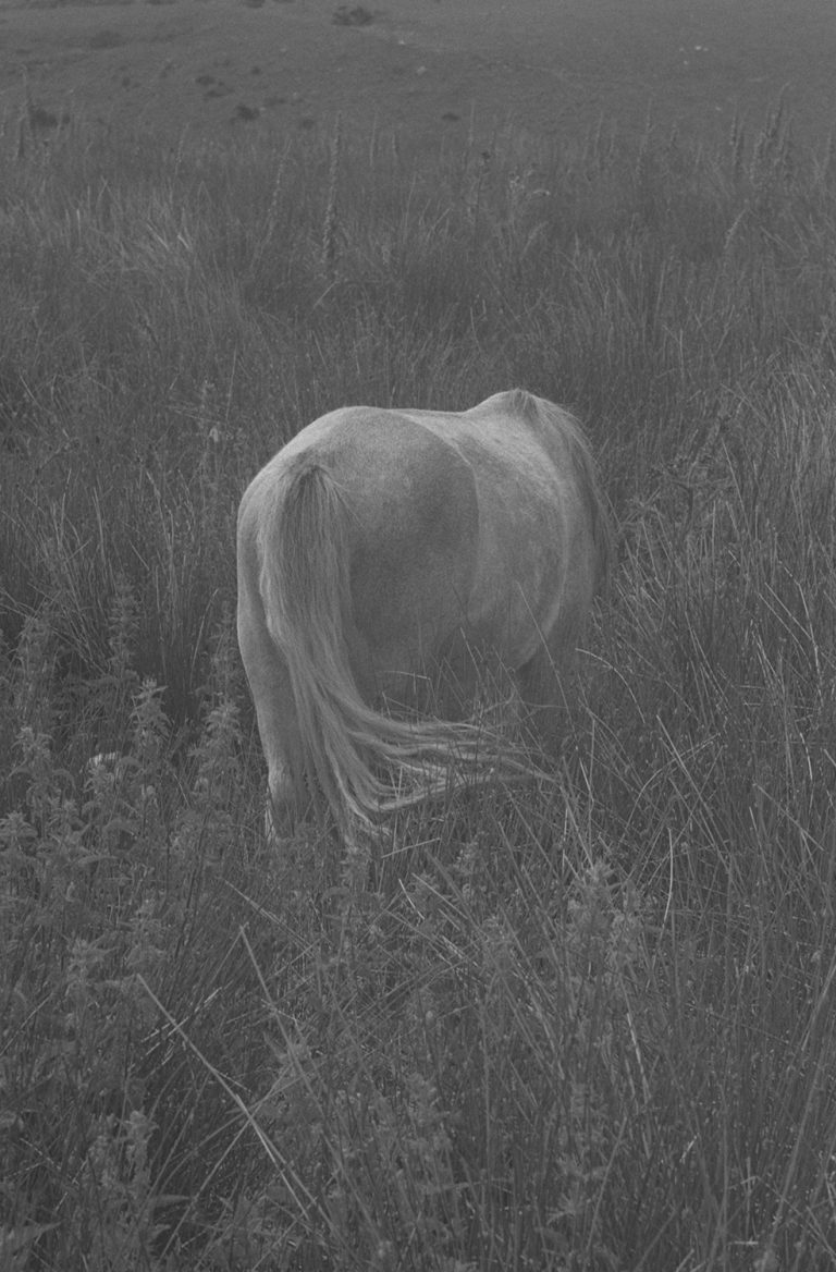 Showcase: Sam Laughlin | Photoworks