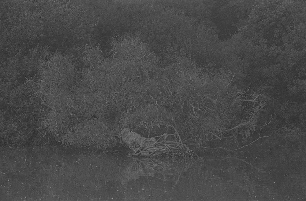 Showcase: Sam Laughlin | Photoworks