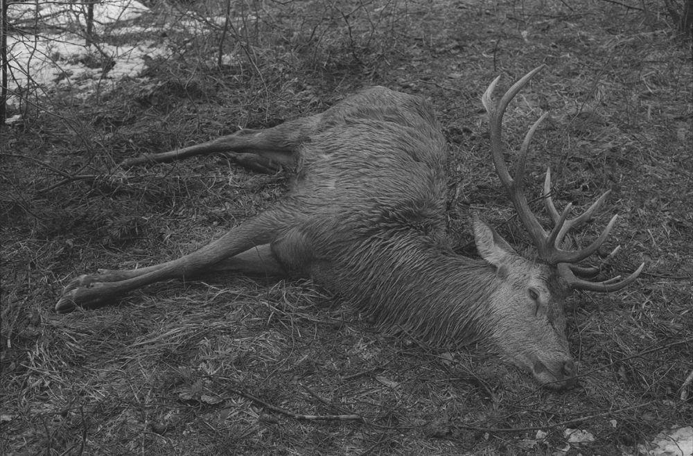 Showcase: Sam Laughlin | Photoworks