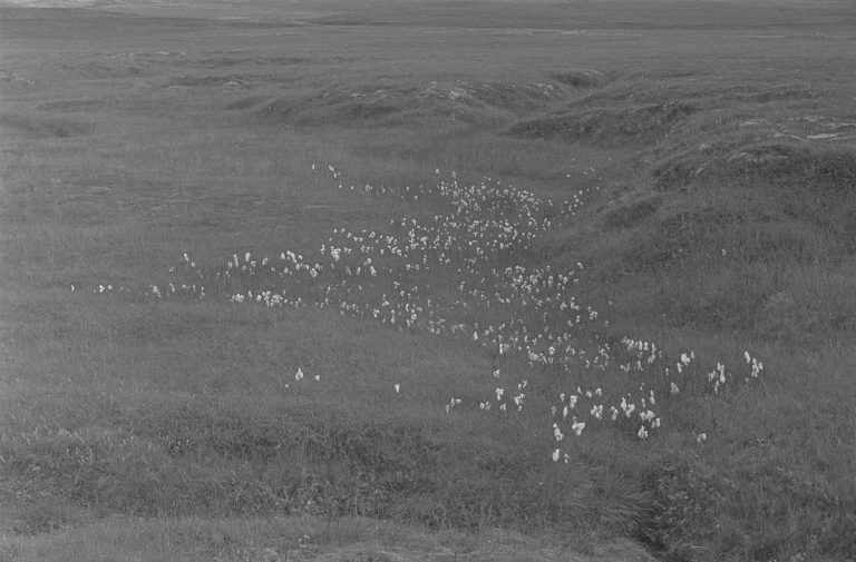 Showcase: Sam Laughlin | Photoworks