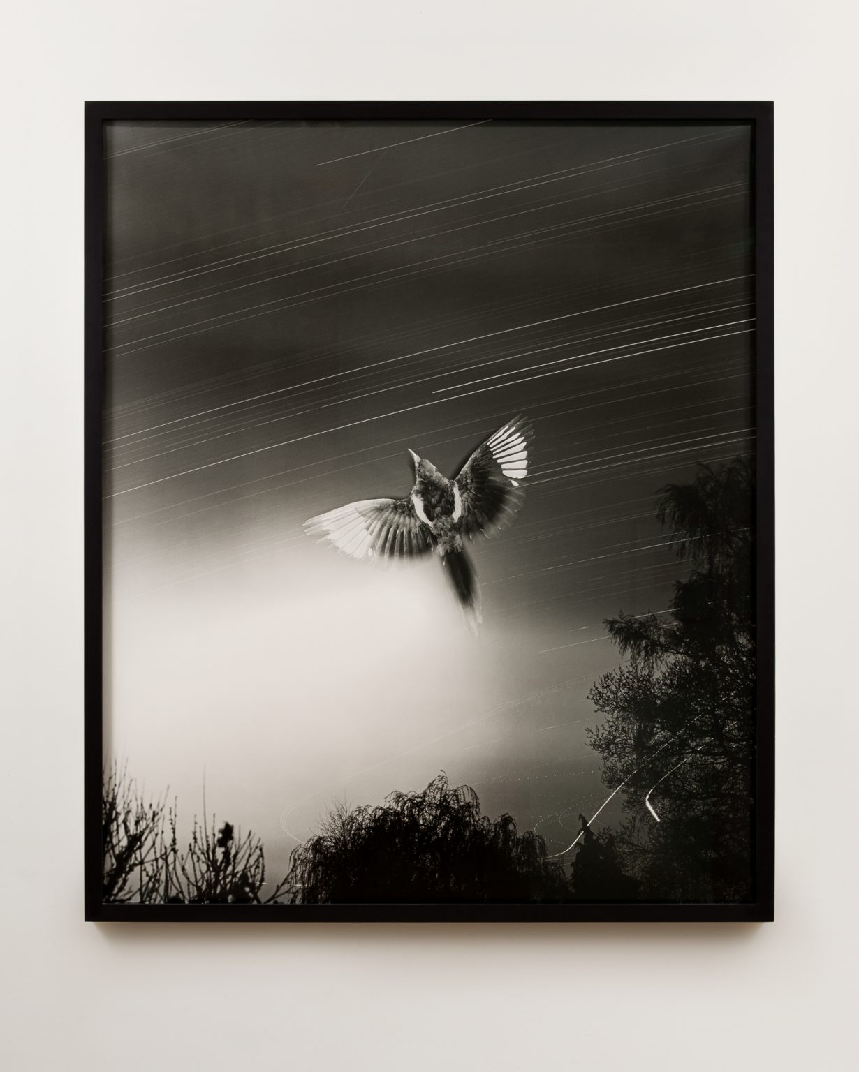 Ideas on Talent: Communities within Photography with Thom Bridge ...