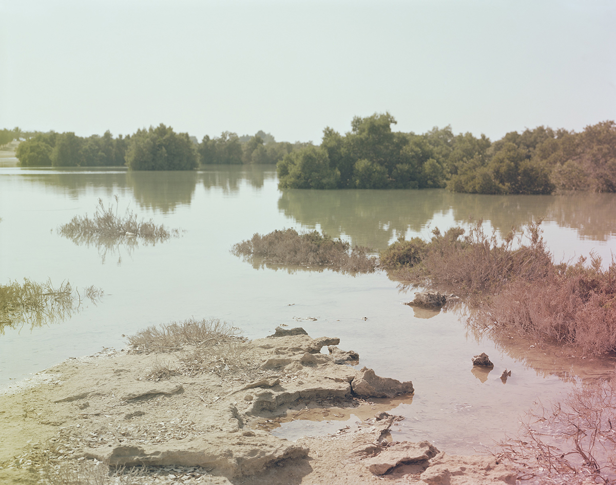 Interview: Steve Macleod | Photoworks