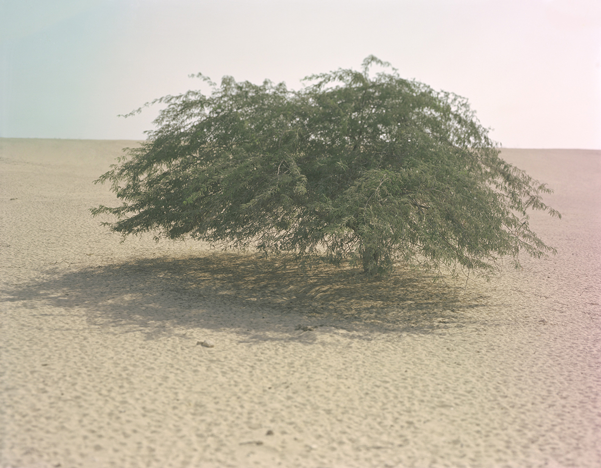 Interview: Steve Macleod | Photoworks