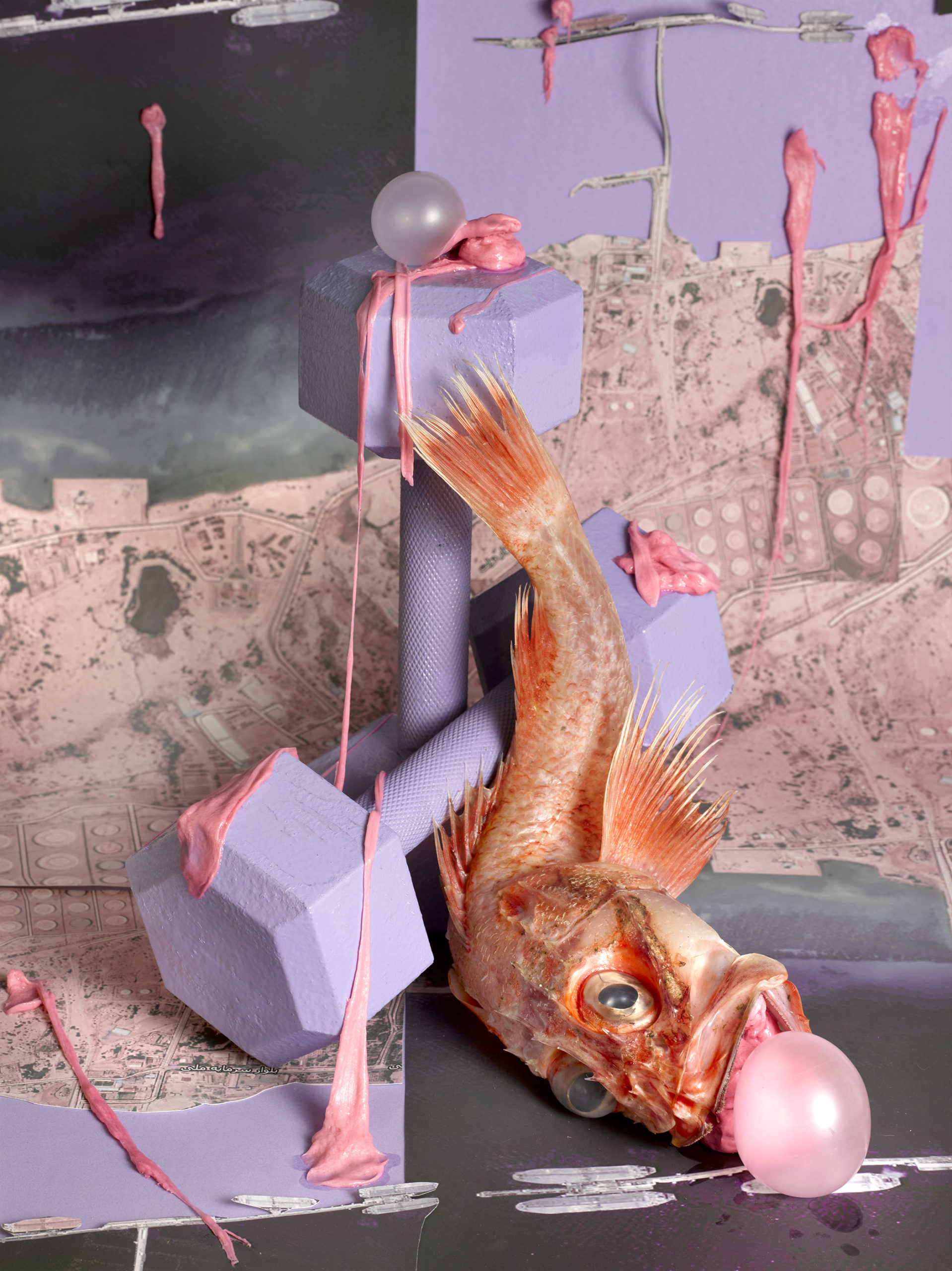 #6 Perform: Sheida Soleimani | Photoworks