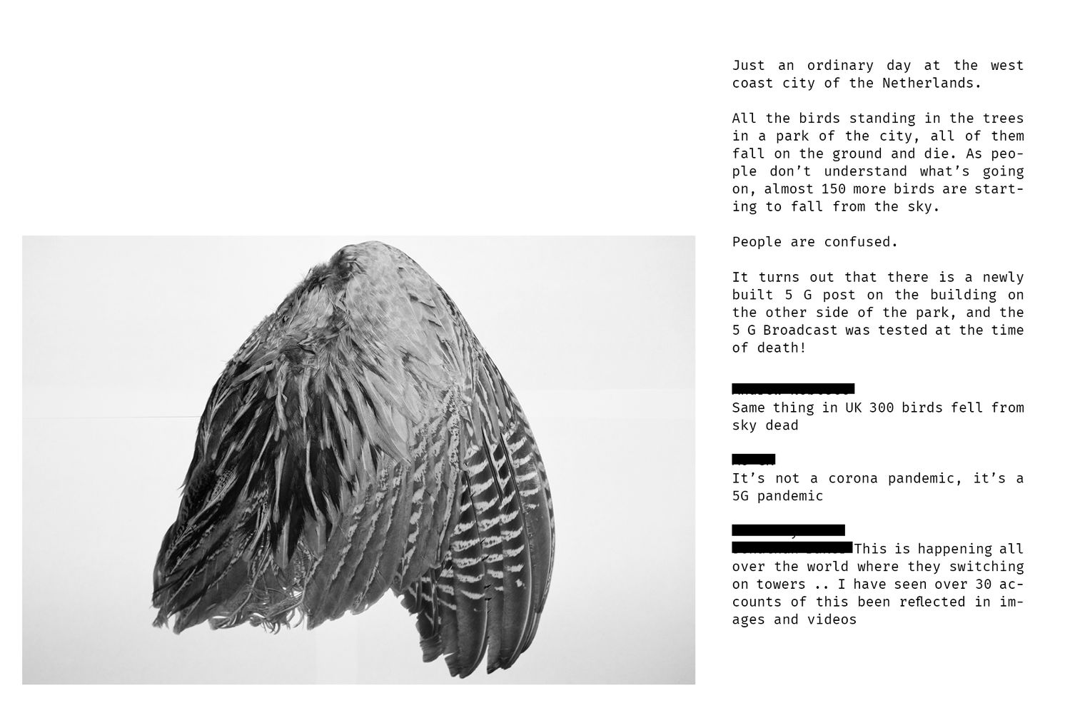 Esther Gabrielle Kersley | Photoworks