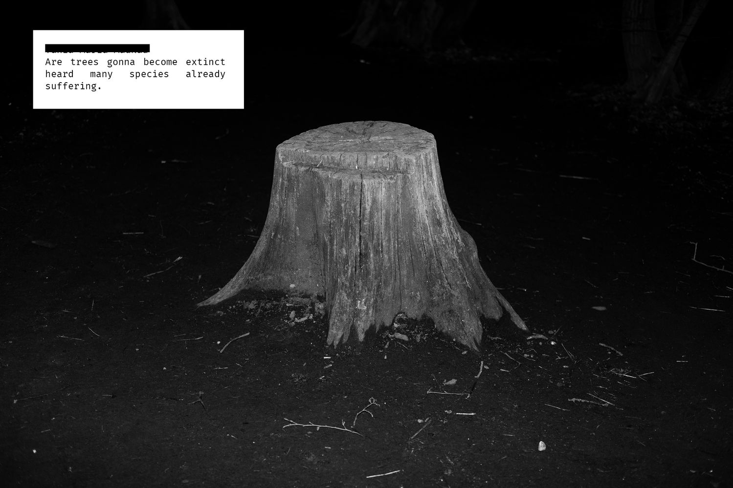 Esther Gabrielle Kersley | Photoworks