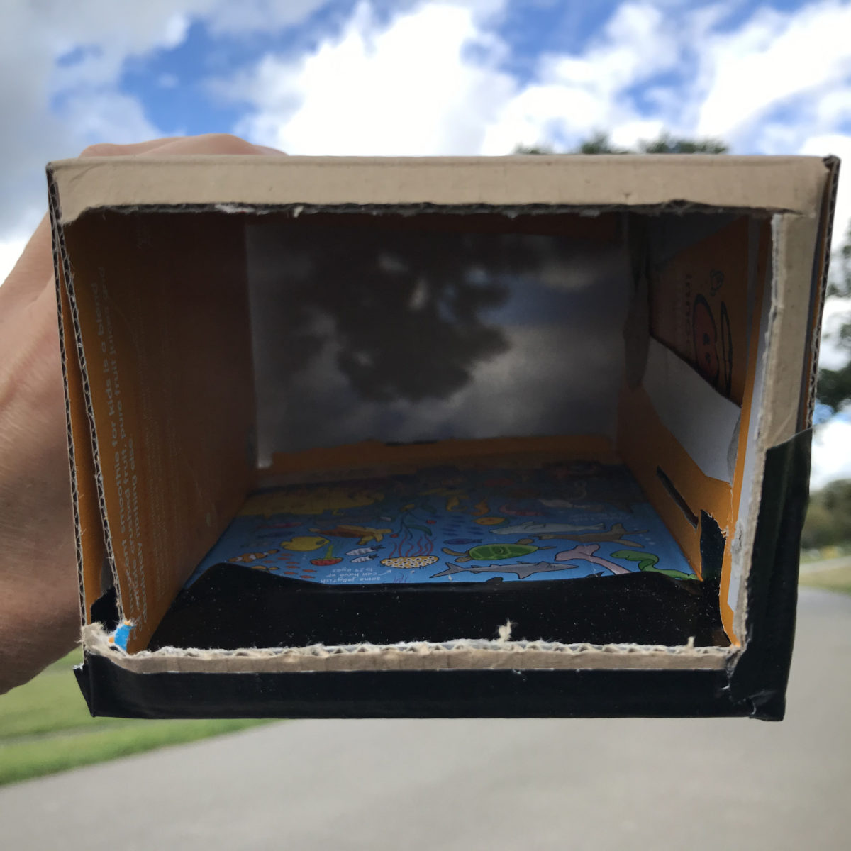 Make a Camera Obscura | Photoworks