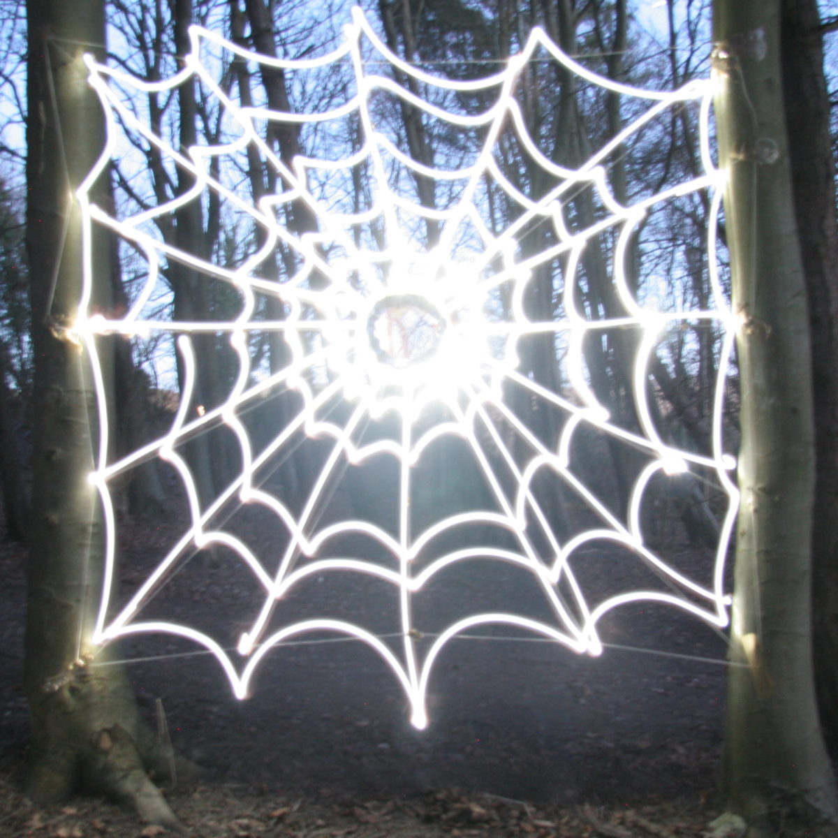 Draw with Light | Photoworks