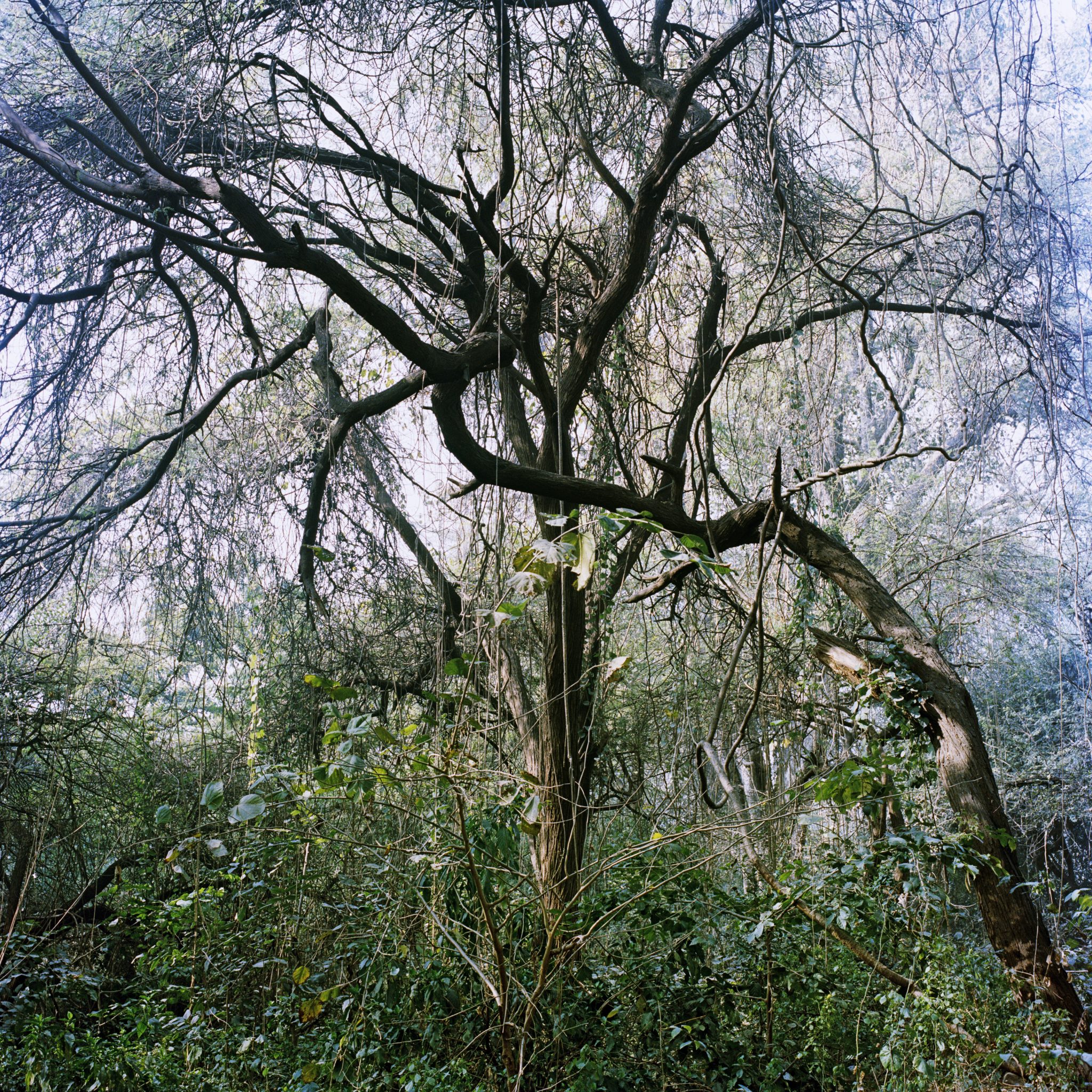 Photoworks UK | Commissions new photography, produces exhibitions