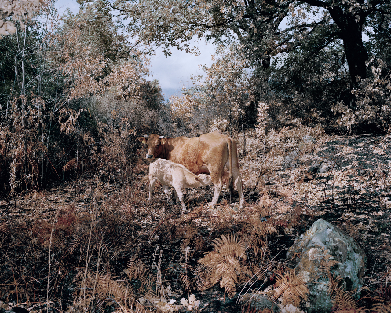 Photoworks UK | Commissions new photography, produces exhibitions