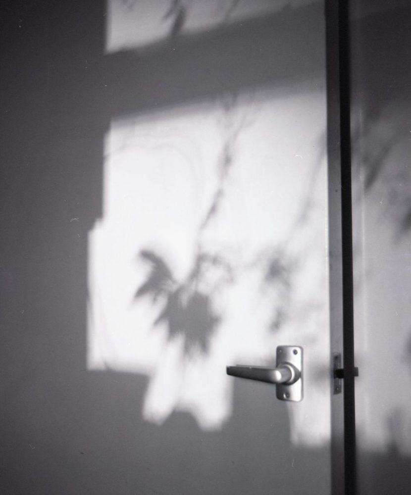 Lyssa Harakis-Parish | Photoworks