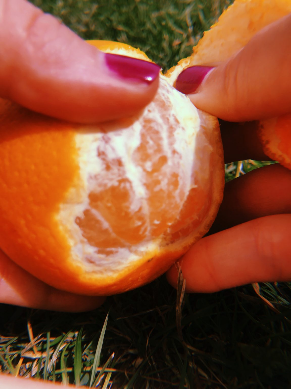 Capture a Smell - Photoworks