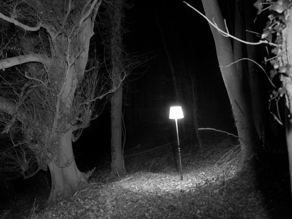 New Year Commission 2024 - Photoworks