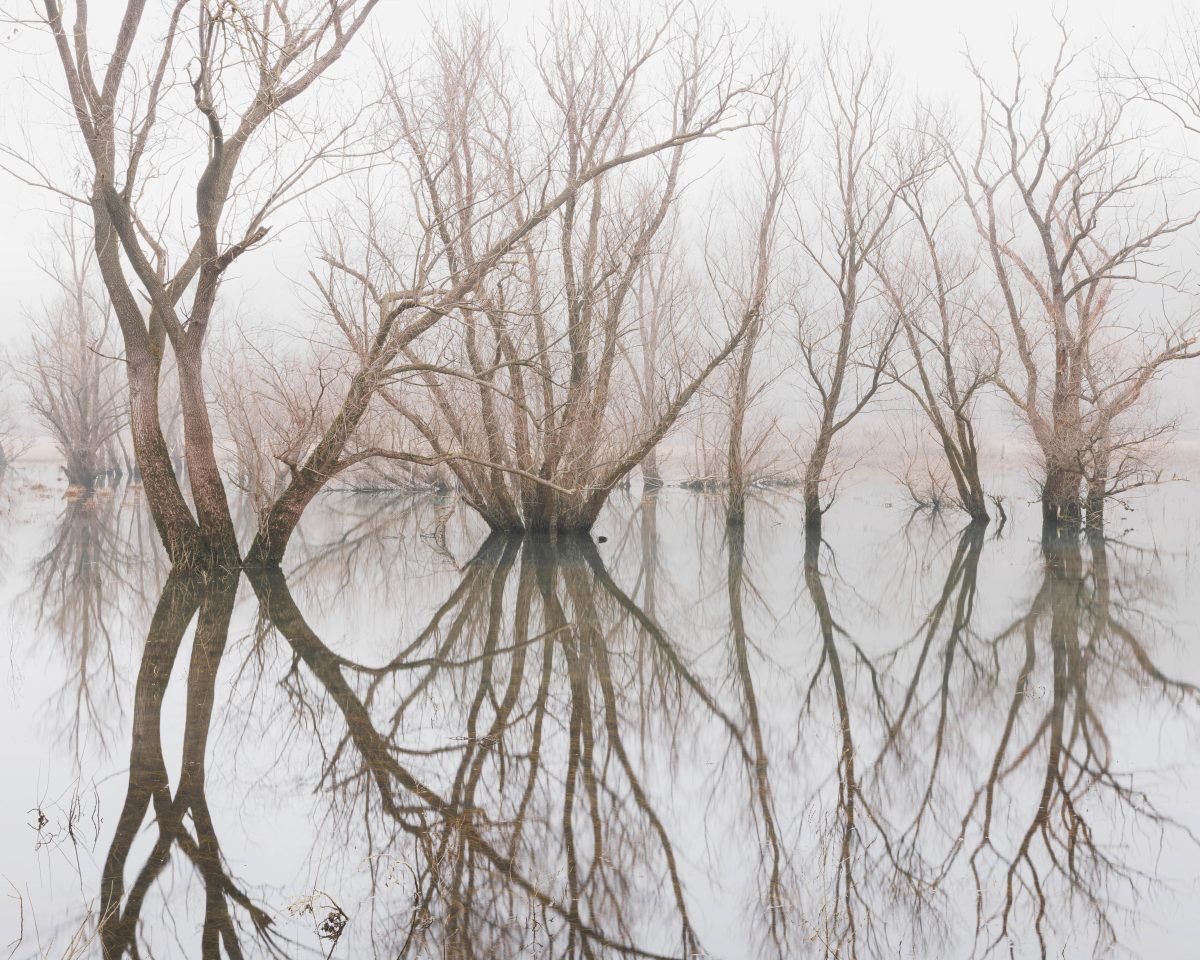 Earth Photo 2026 - Photoworks