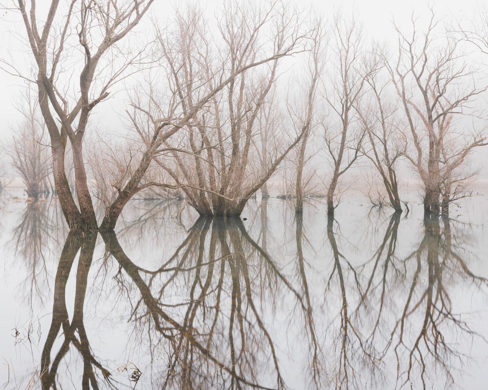 Earth Photo 2026 - Photoworks
